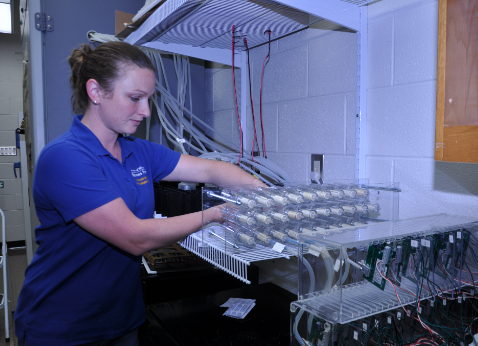 Wisconsin Institute for Sustainable Technology Boosts Compostability ...